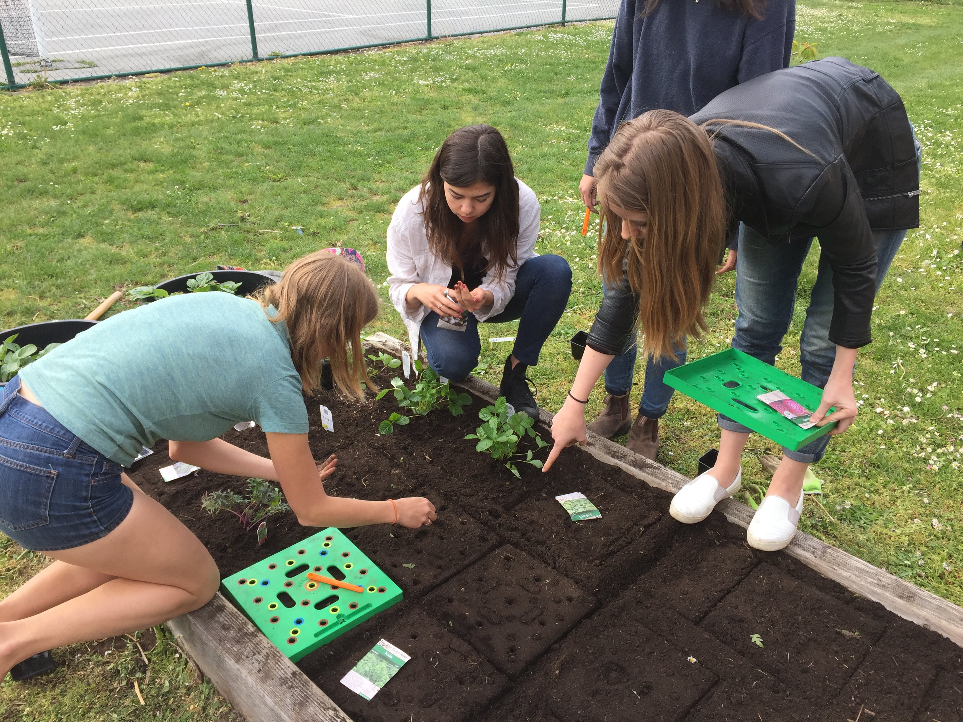 Seeding Square