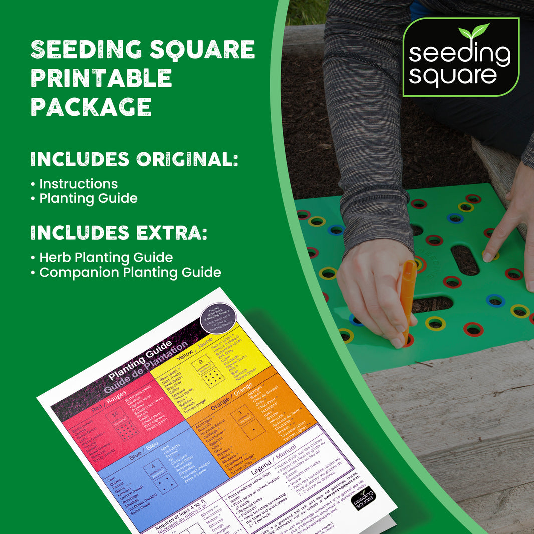 Seeding Square